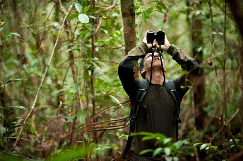 We Learn - Borneo Nature Foundation